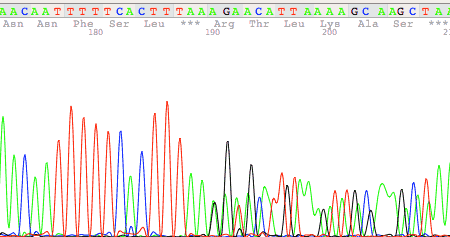 Chimeras & Other DNA Rearrangements