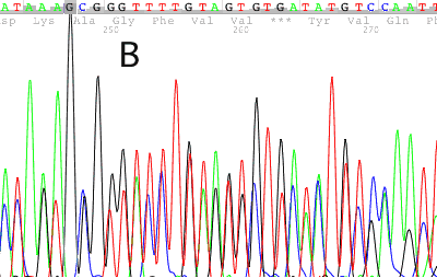 Sequencing Mixed DNA Templates