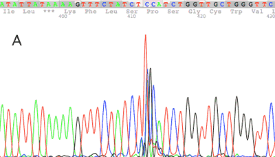 Sharp Sequencing Trace Signal Spikes