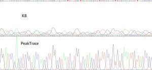 DNA Sequencing Products
